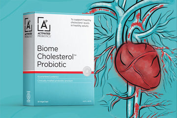 Australia's Trusted Vitamin & Supplement Store – Evelyn Faye Nutrition